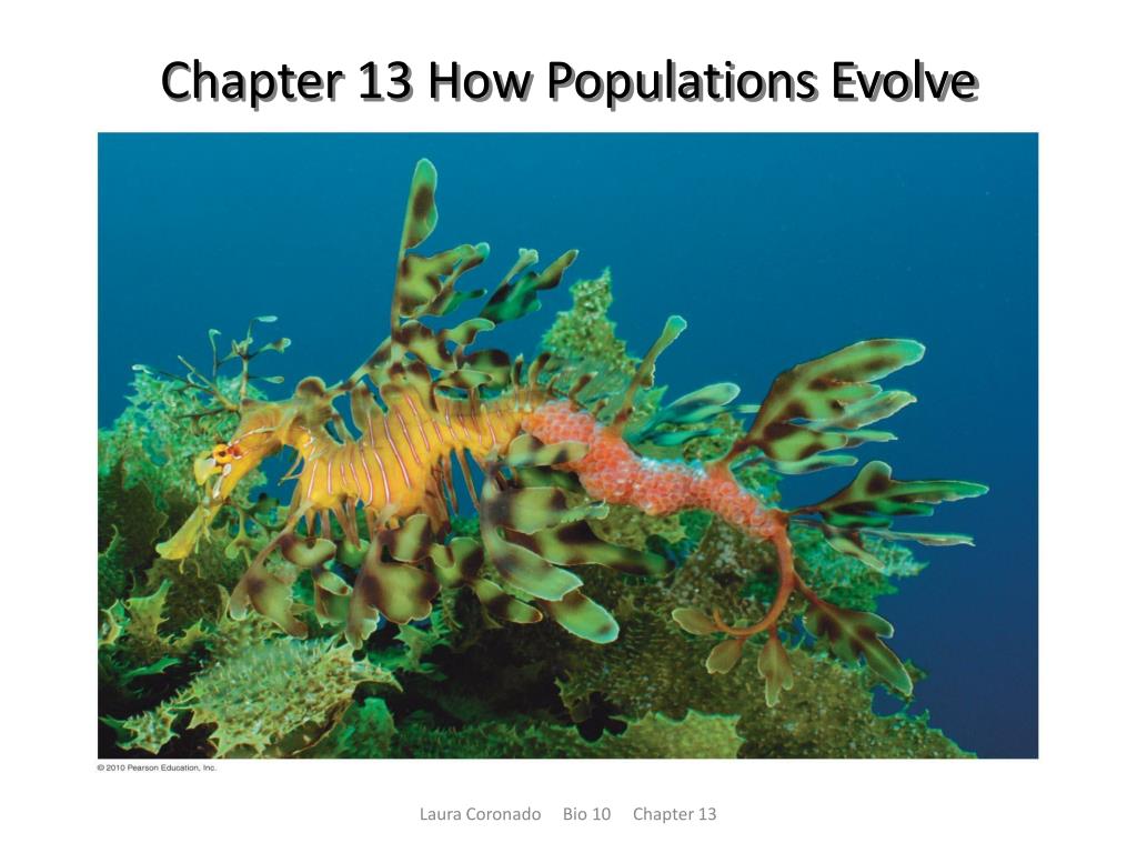 PPT - Chapter 13 How Populations Evolve PowerPoint Presentation, free download - ID:5839448