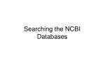PPT - NCBI PowerPoint Presentation, free download - ID:654602