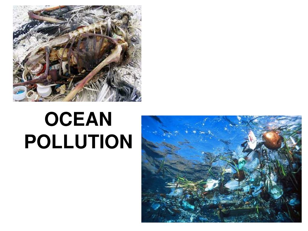 PPT - OCEAN POLLUTION PowerPoint Presentation, free download - ID:5848073