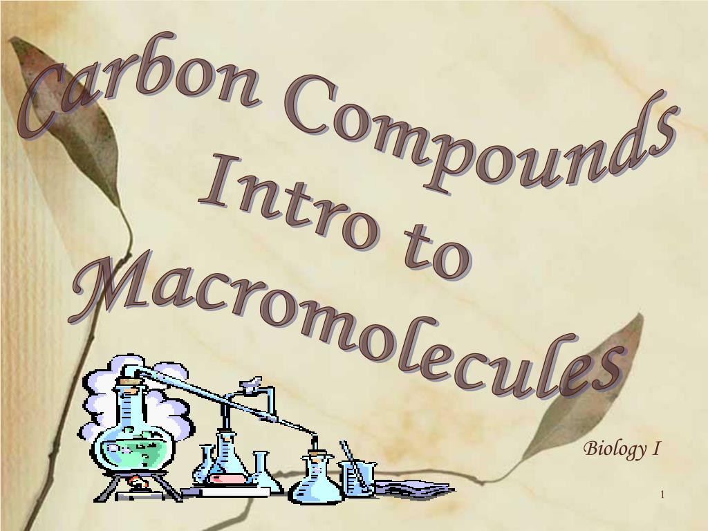 PPT - Introduction to Macromolecules in Biology PowerPoint Presentation ...