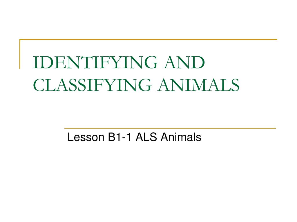 PPT - IDENTIFYING AND CLASSIFYING ANIMALS PowerPoint Presentation, free ...