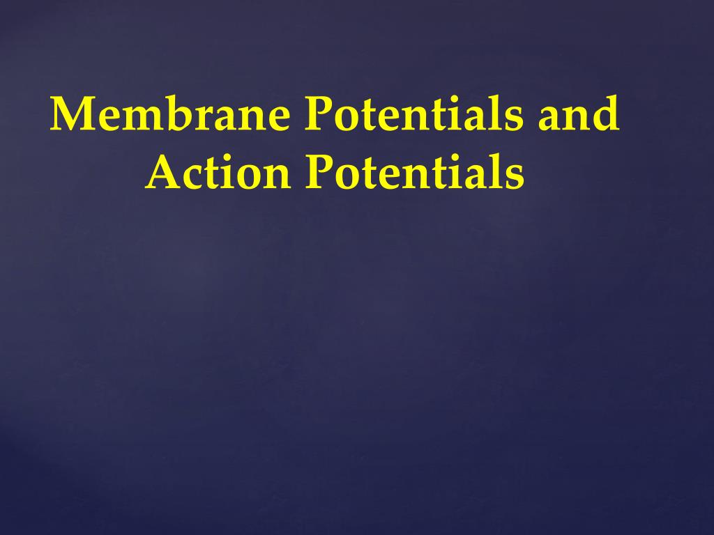PPT - Membrane Potentials and Action Potentials PowerPoint Presentation - ID:5875130