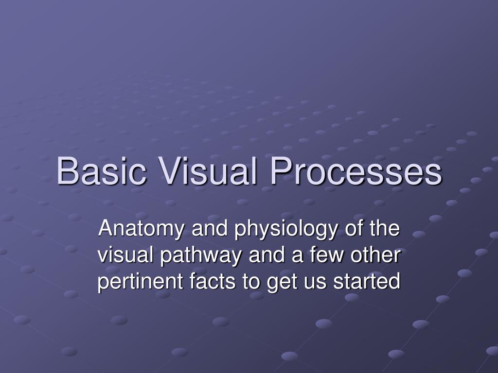 PPT - Basic Visual Processes PowerPoint Presentation, free download ...