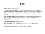 PPT - RBC-RD6 Wiring Diagram PowerPoint Presentation, free download ...
