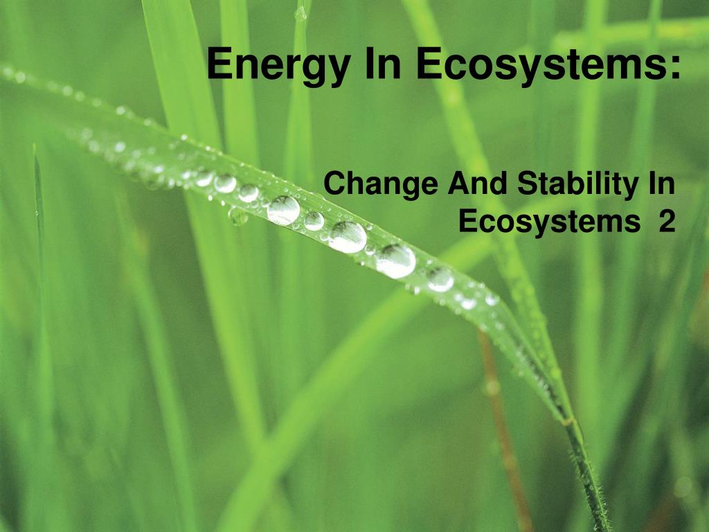 PPT - Energy In Ecosystems: PowerPoint Presentation, free download - ID ...