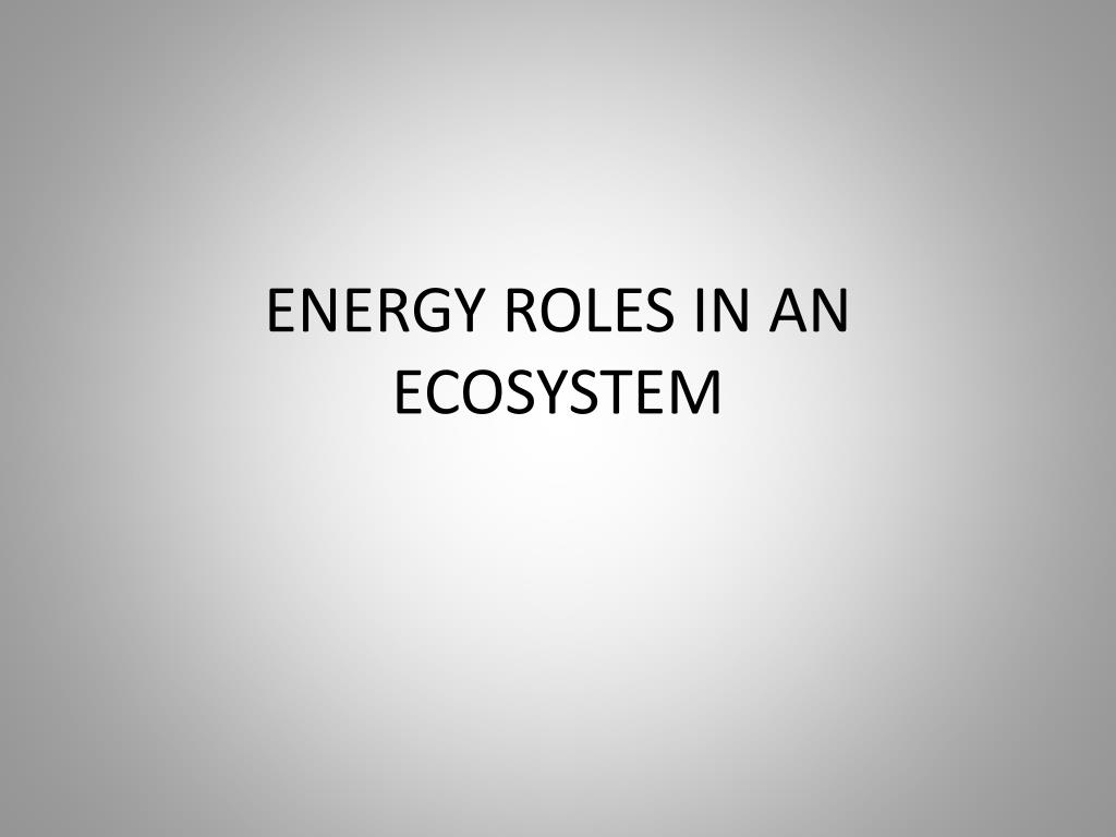PPT - ENERGY ROLES IN AN ECOSYSTEM PowerPoint Presentation, free ...