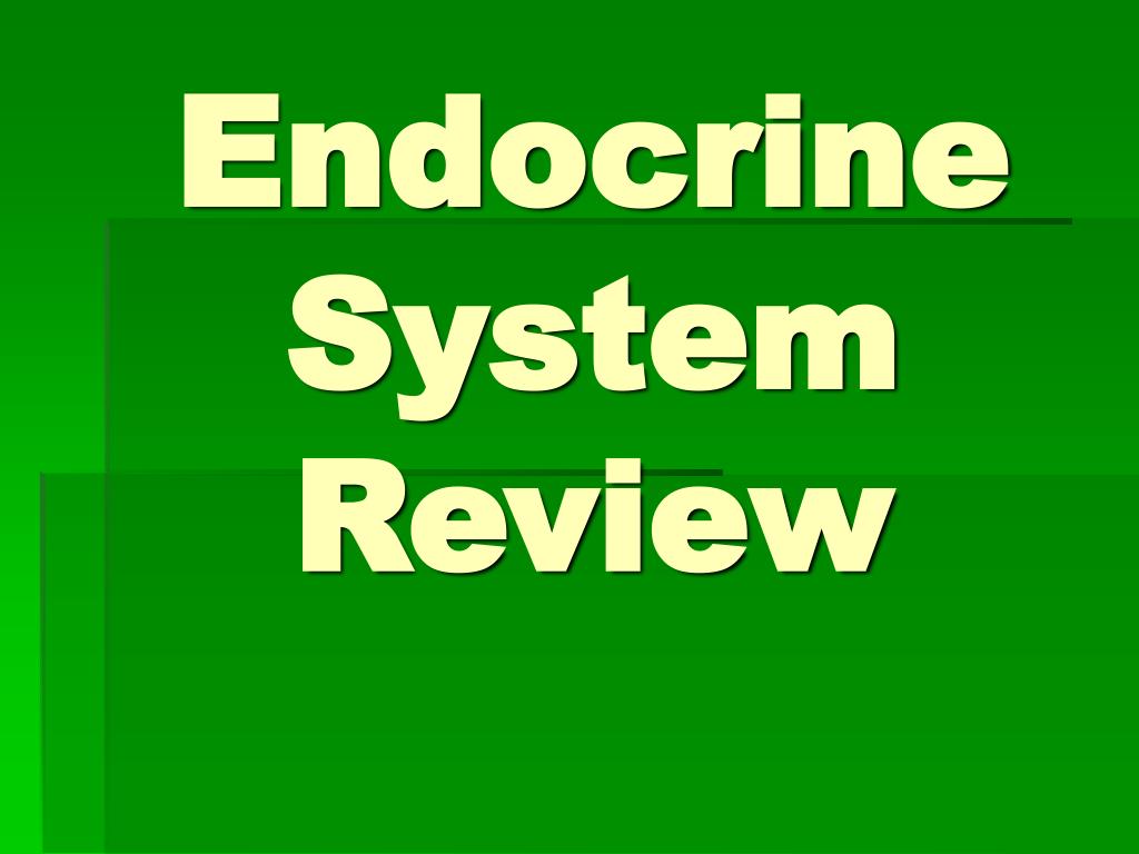PPT - Endocrine System Review PowerPoint Presentation, free download ...