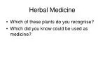 PPT - HERBAL MEDICINE PowerPoint Presentation, free download - ID:2705807
