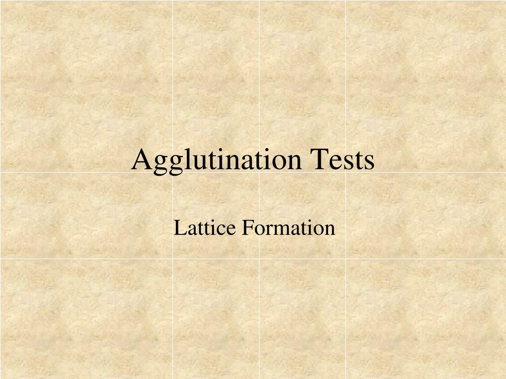 PPT - Agglutination Tests PowerPoint Presentation, free download - ID ...