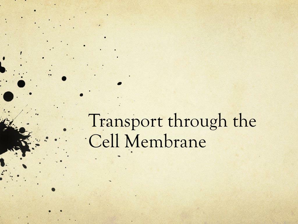 PPT - Transport through the Cell Membrane PowerPoint Presentation, free ...