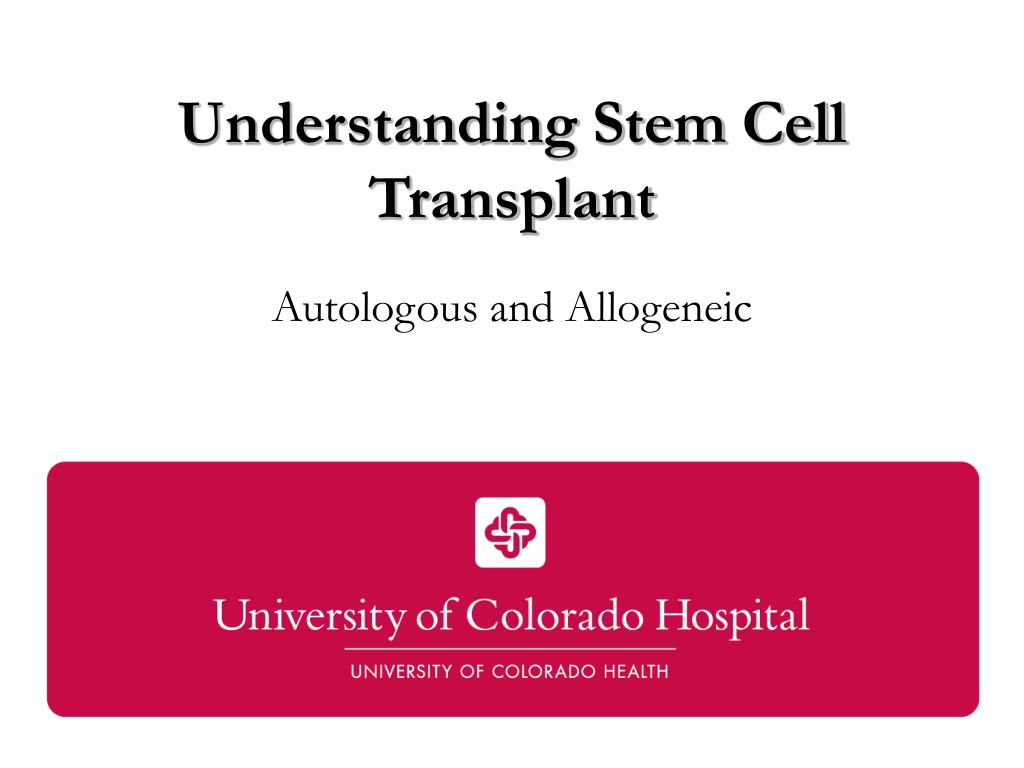 PPT - Understanding Stem Cell Transplant PowerPoint Presentation, free ...