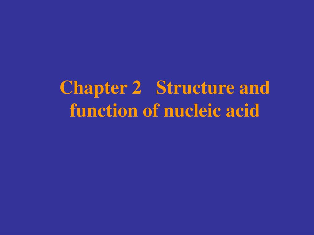 PPT - Chapter 2 Structure and function of nucleic acid PowerPoint Presentation - ID:5910719
