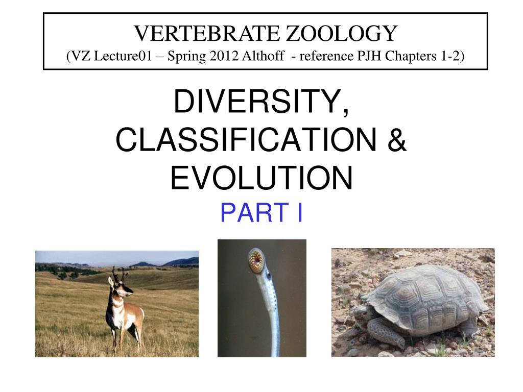 PPT - DIVERSITY, CLASSIFICATION & EVOLUTION PART I PowerPoint ...