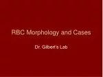 PPT - WBC Morphology and Cases PowerPoint Presentation, free download ...