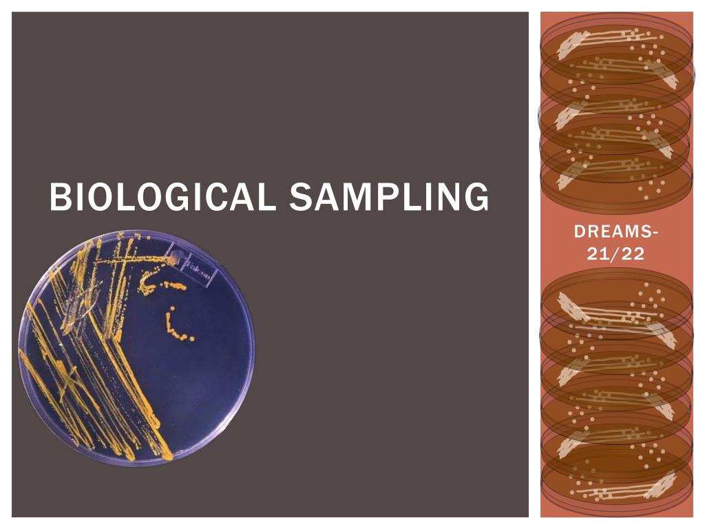 PPT - Biological sampling PowerPoint Presentation, free download - ID ...