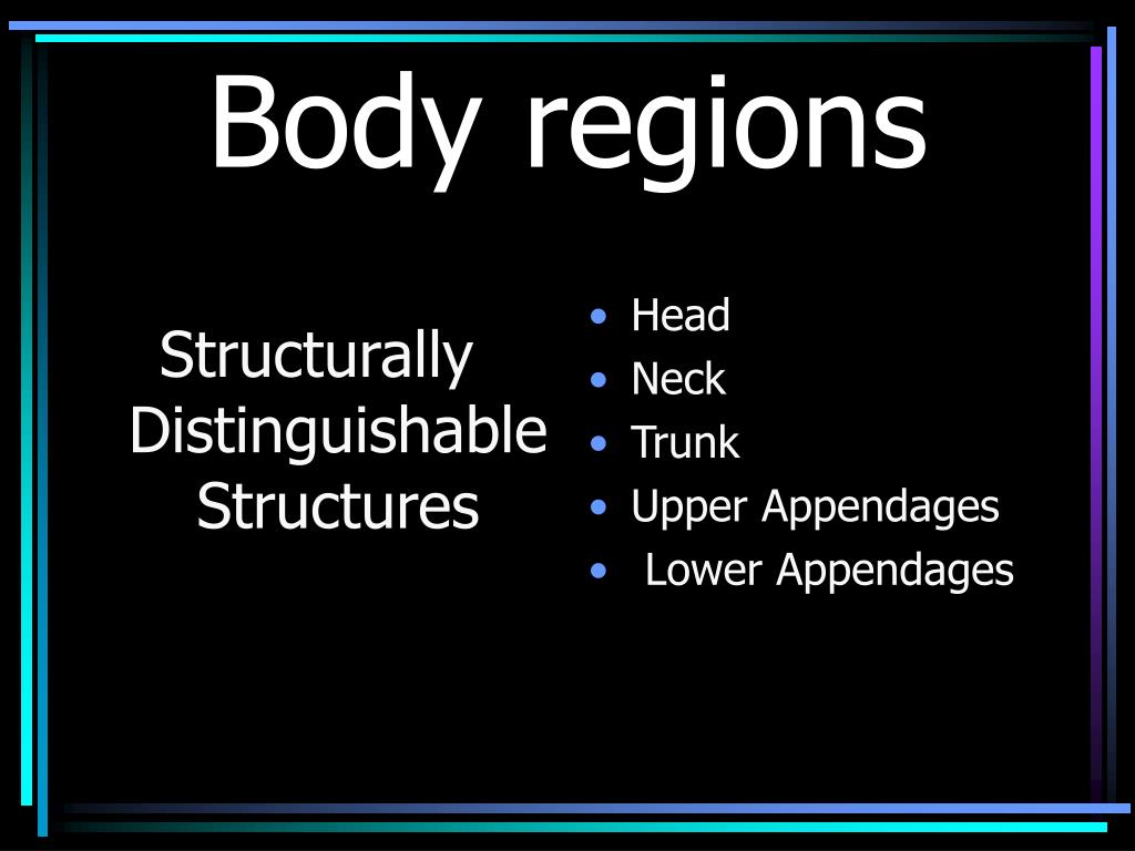 PPT - Body regions PowerPoint Presentation, free download - ID:5918064