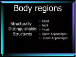 PPT - Anatomical Body Regions PowerPoint Presentation, free download ...