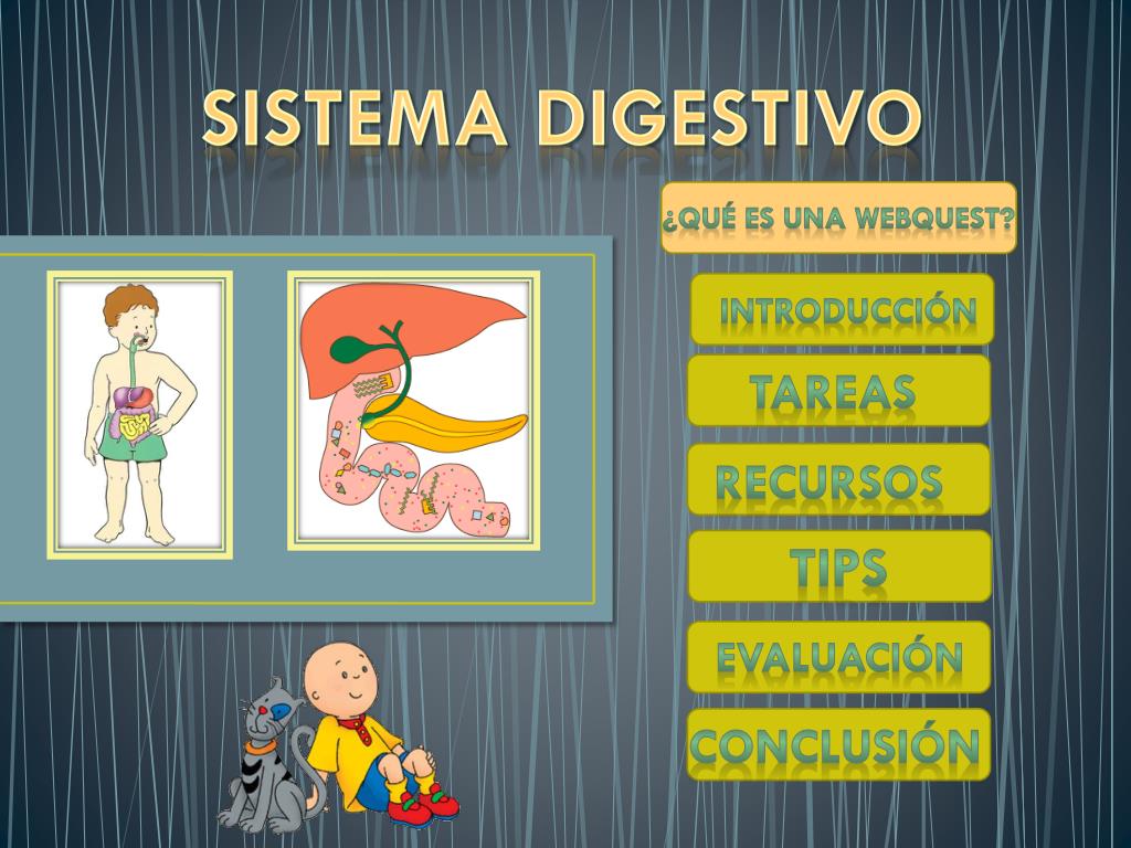 PPT - Sistema digestivo PowerPoint Presentation, free download - ID:5932505