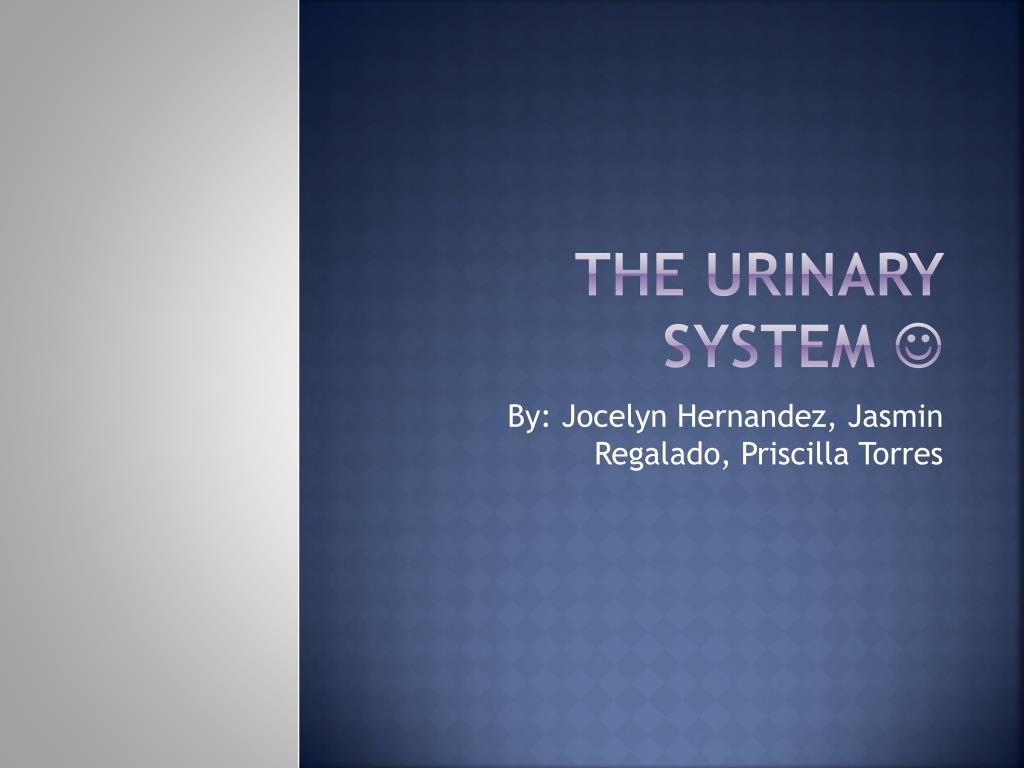 PPT - The Urinary System PowerPoint Presentation, free download - ID ...