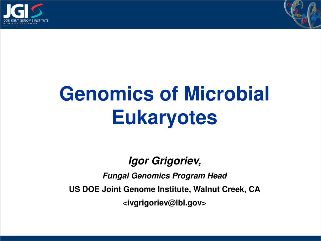 PPT - Genomics of Microbial Eukaryotes PowerPoint Presentation, free ...