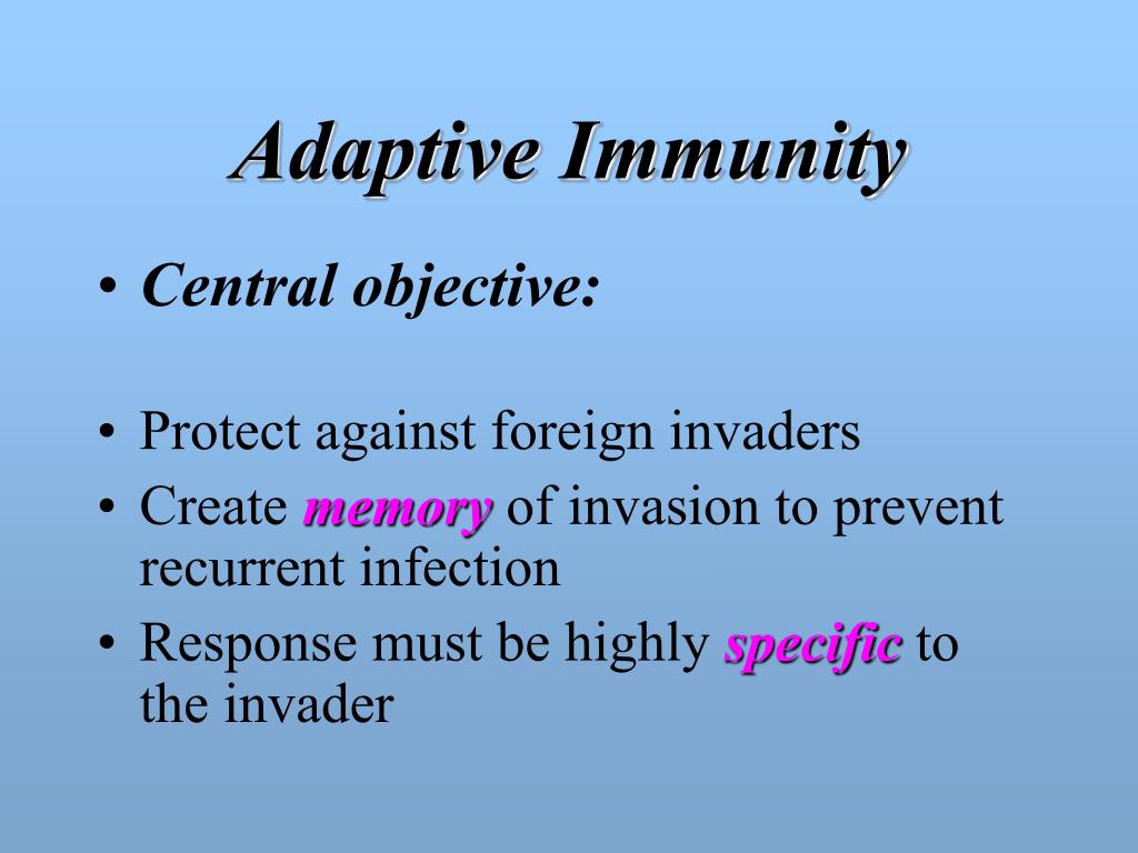 PPT - Adaptive Immunity PowerPoint Presentation, free download - ID:5946922