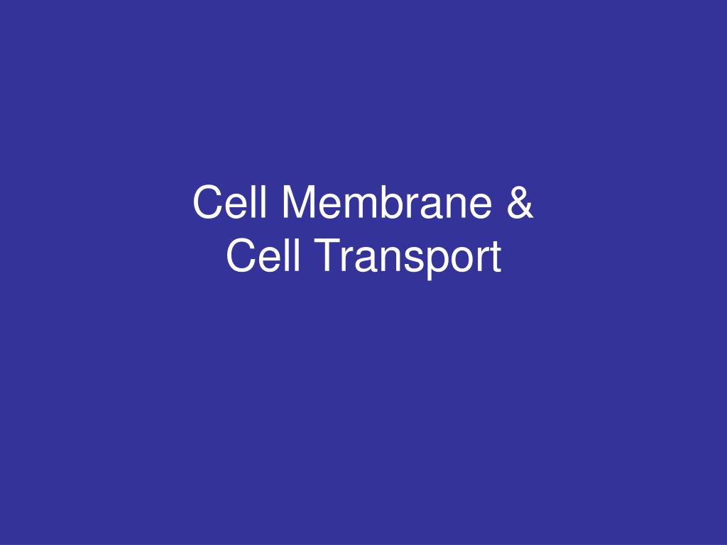 PPT - Cell Membrane & Cell Transport PowerPoint Presentation, free ...