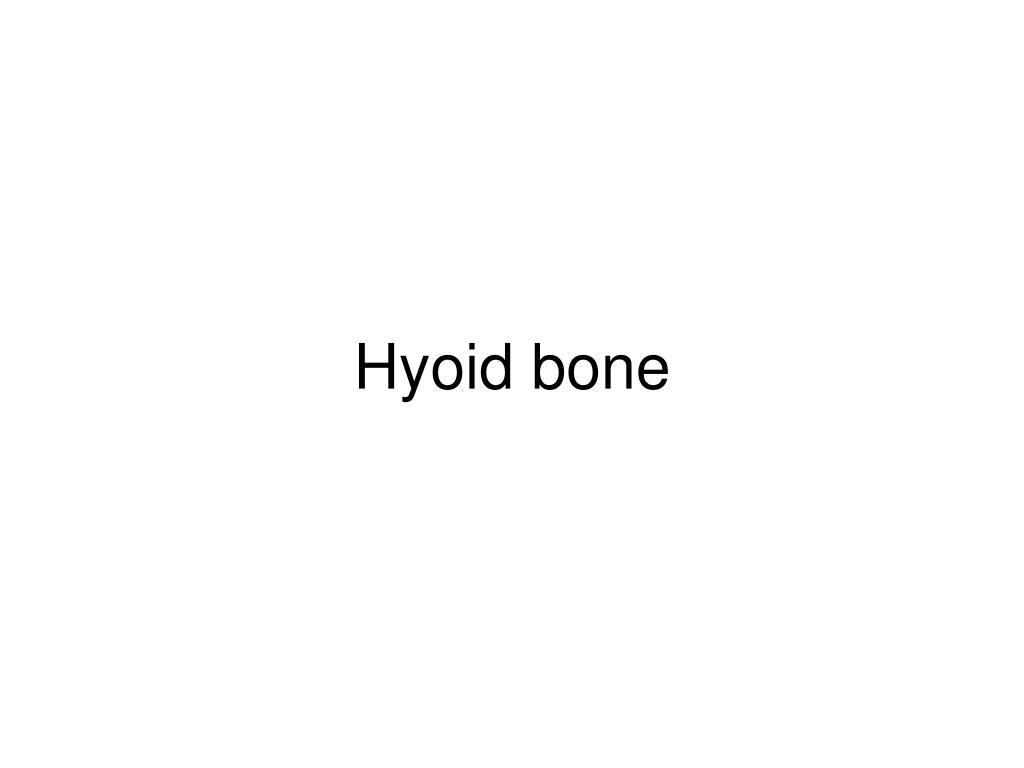 PPT - Hyoid bone PowerPoint Presentation, free download - ID:5951020