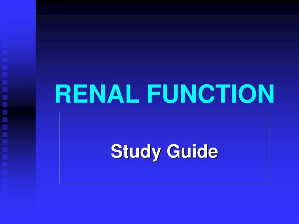 PPT - RENAL FUNCTION PowerPoint Presentation, free download - ID:5953752