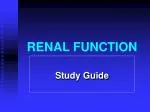 PPT - RENAL FUNCTION TESTS PowerPoint Presentation, free download - ID ...