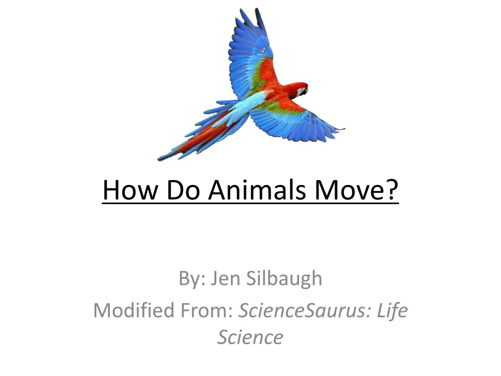 PPT - How Do Animals Move? PowerPoint Presentation, free download - ID ...