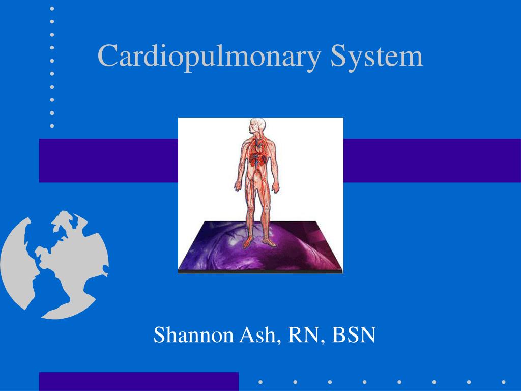 PPT - Cardiopulmonary System PowerPoint Presentation, free download ...