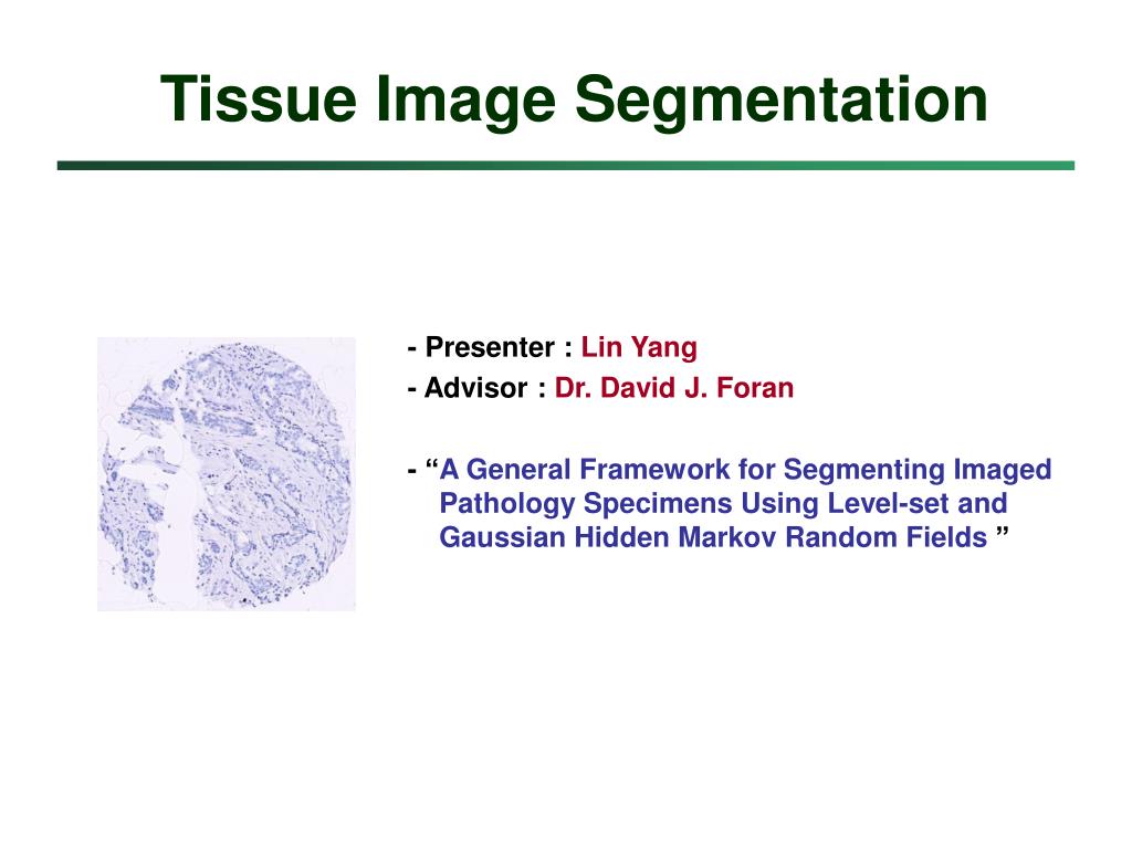 PPT - Tissue Image Segmentation PowerPoint Presentation, free download ...