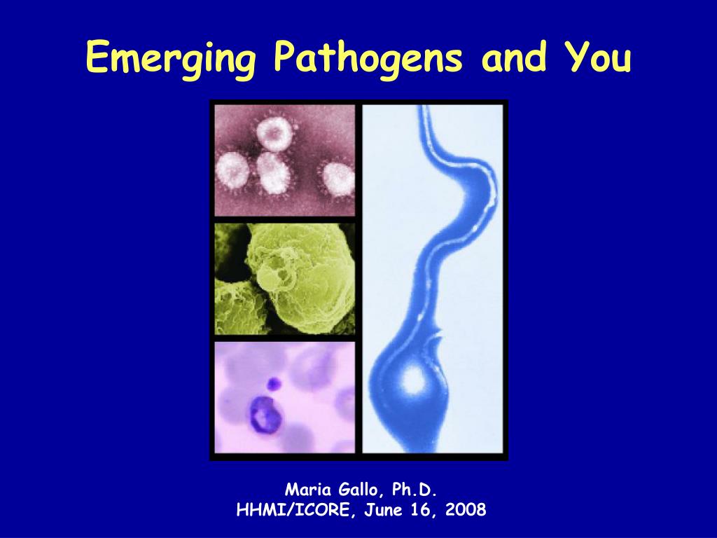 PPT - Emerging Pathogens and You PowerPoint Presentation, free download ...