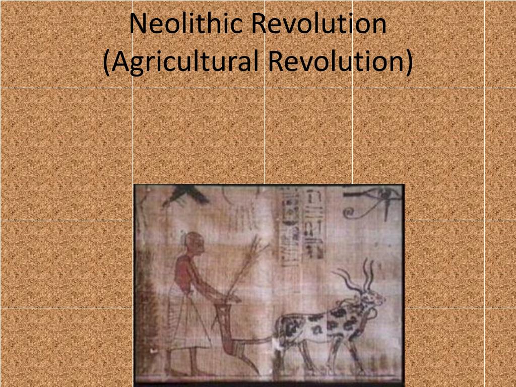 PPT - Neolithic Revolution (Agricultural Revolution) PowerPoint ...