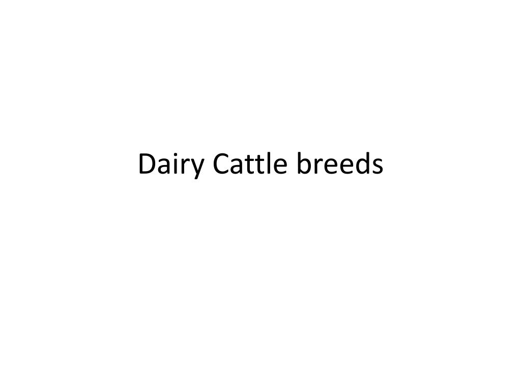 PPT - Dairy Cattle breeds PowerPoint Presentation, free download - ID ...