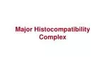 PPT - Major Histocompatibility Complex MHC PowerPoint Presentation ...