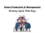 PPT - Feeding and Management of Swine PowerPoint Presentation, free ...