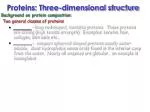 PPT - Three-Dimensional Structure of Proteins PowerPoint Presentation ...