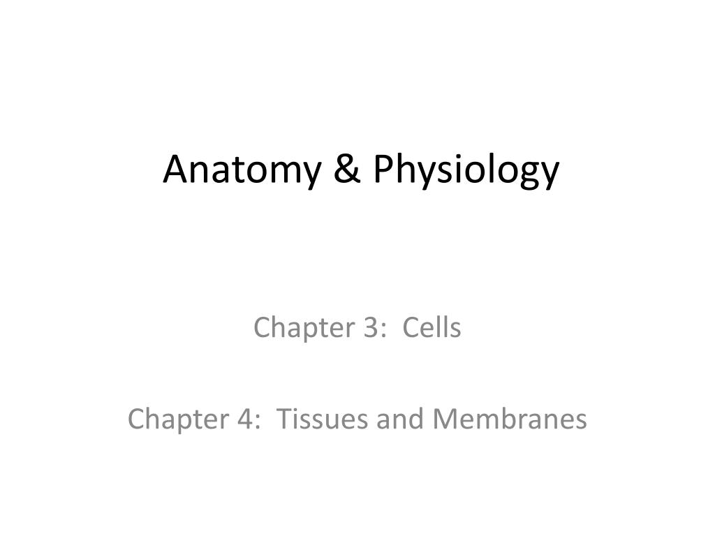 PPT - Understanding Cell Anatomy: Structure, Function, and Transport ...