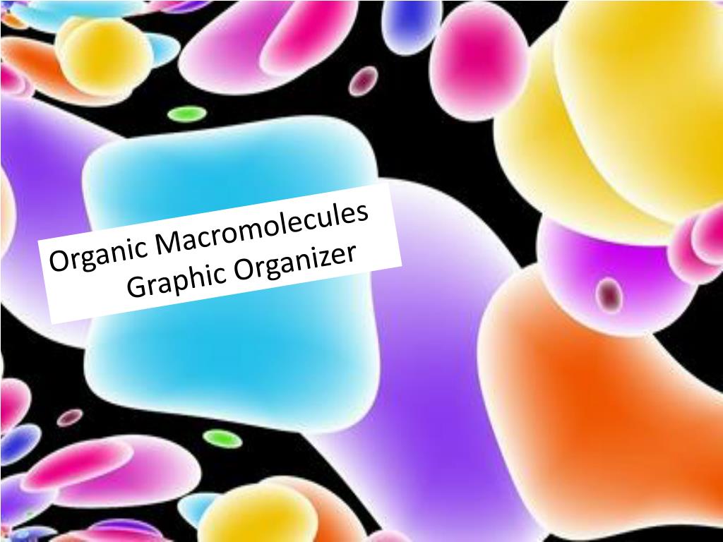 PPT - Organic Macromolecules Graphic Organizer PowerPoint Presentation ...