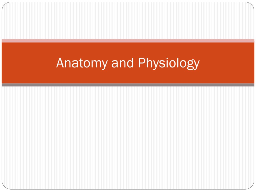 PPT - Anatomy and Physiology PowerPoint Presentation, free download ...