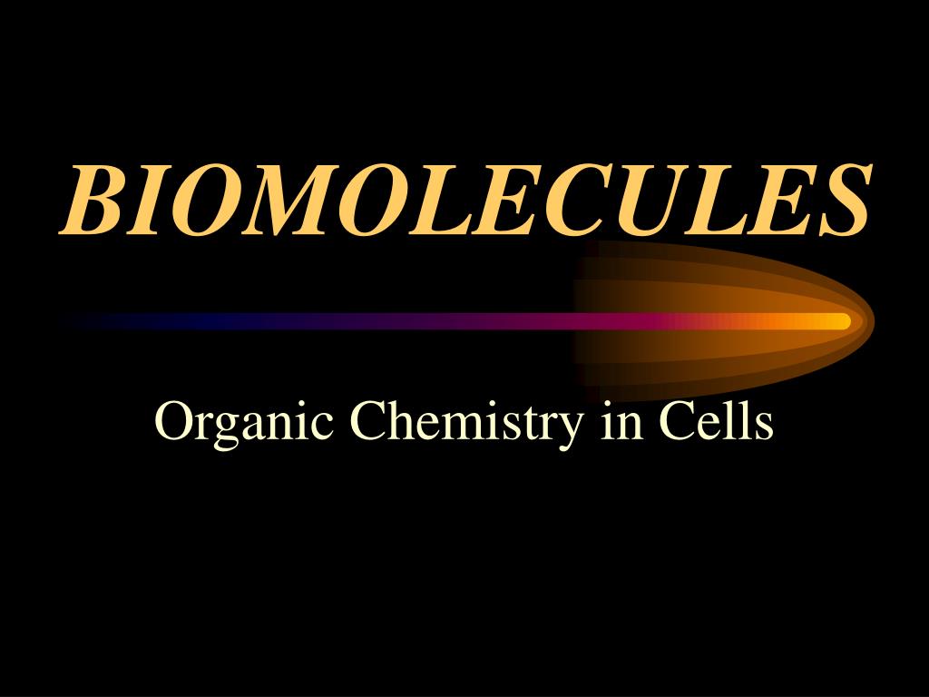 PPT - BIOMOLECULES PowerPoint Presentation, free download - ID:6001224