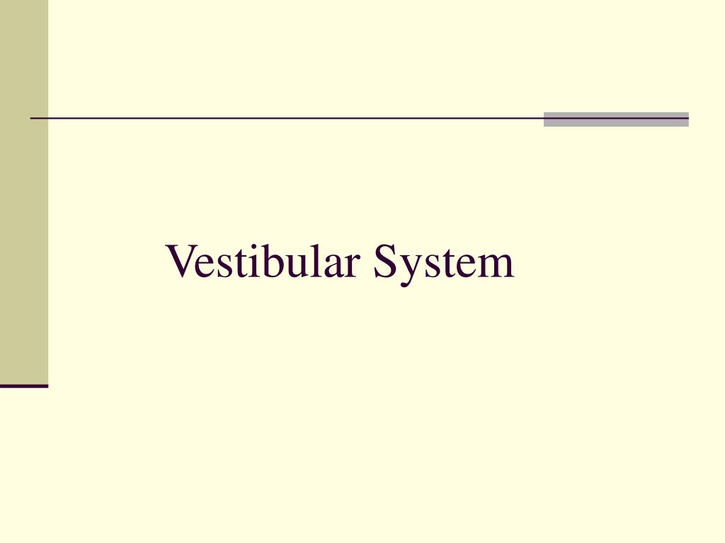 PPT - Vestibular System PowerPoint Presentation, free download - ID:6002114