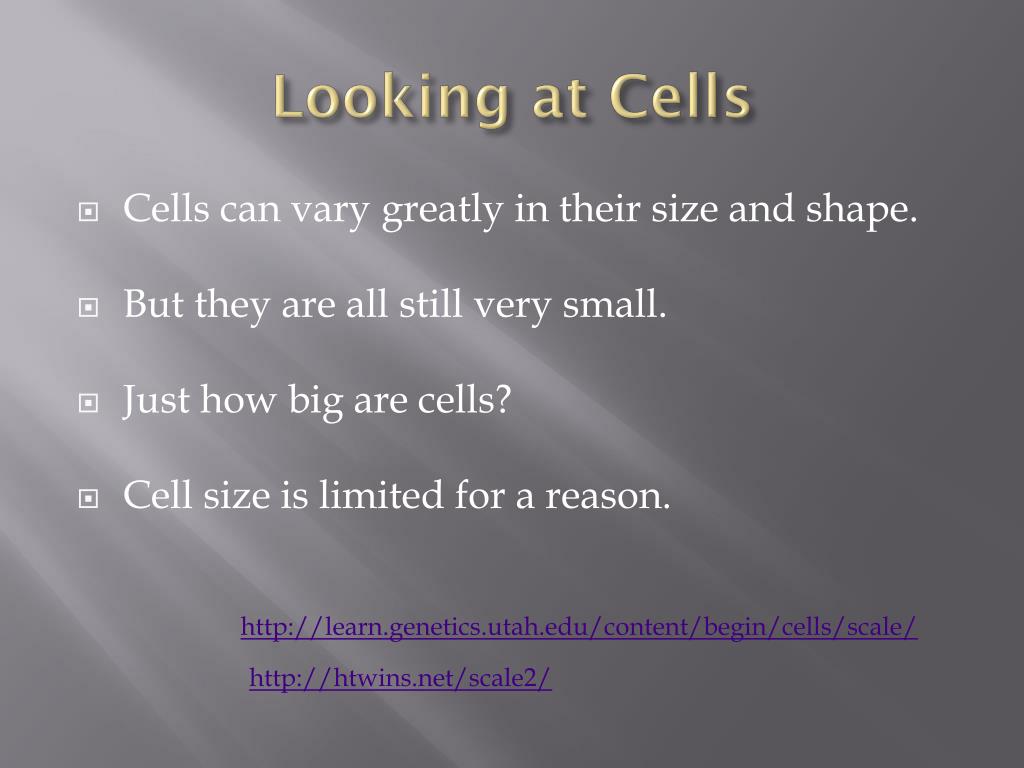 PPT - Looking at Cells PowerPoint Presentation, free download - ID:6005576