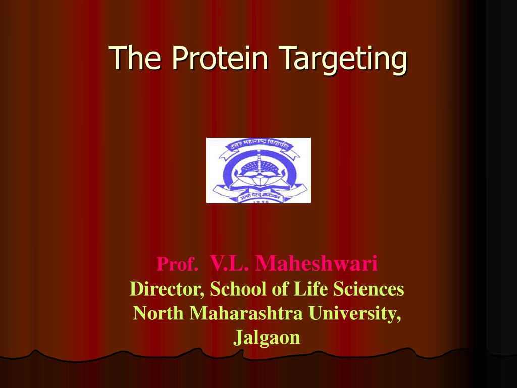 PPT - The Protein Targeting PowerPoint Presentation, free download - ID ...