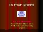 PPT - The pathways of protein targeting PowerPoint Presentation, free ...