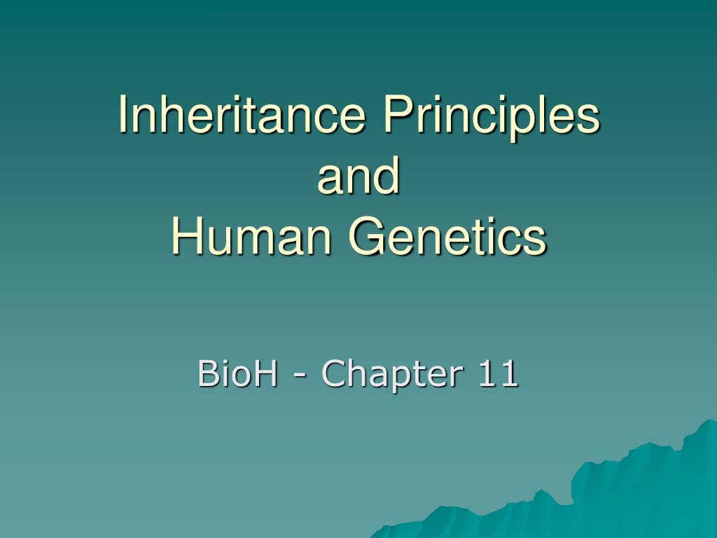 PPT - Inheritance Principles and Human Genetics PowerPoint Presentation ...