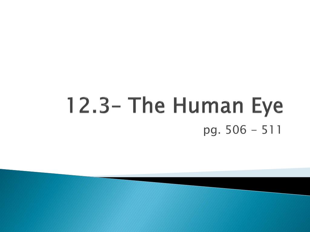 PPT - 12.3– The Human Eye PowerPoint Presentation, free download - ID ...
