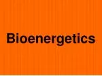 PPT - BIOENERGETICS PowerPoint Presentation, free download - ID:9072015