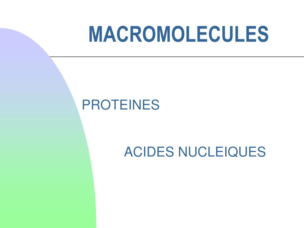 PPT - MACROMOLECULES PowerPoint Presentation, free download - ID:6018699